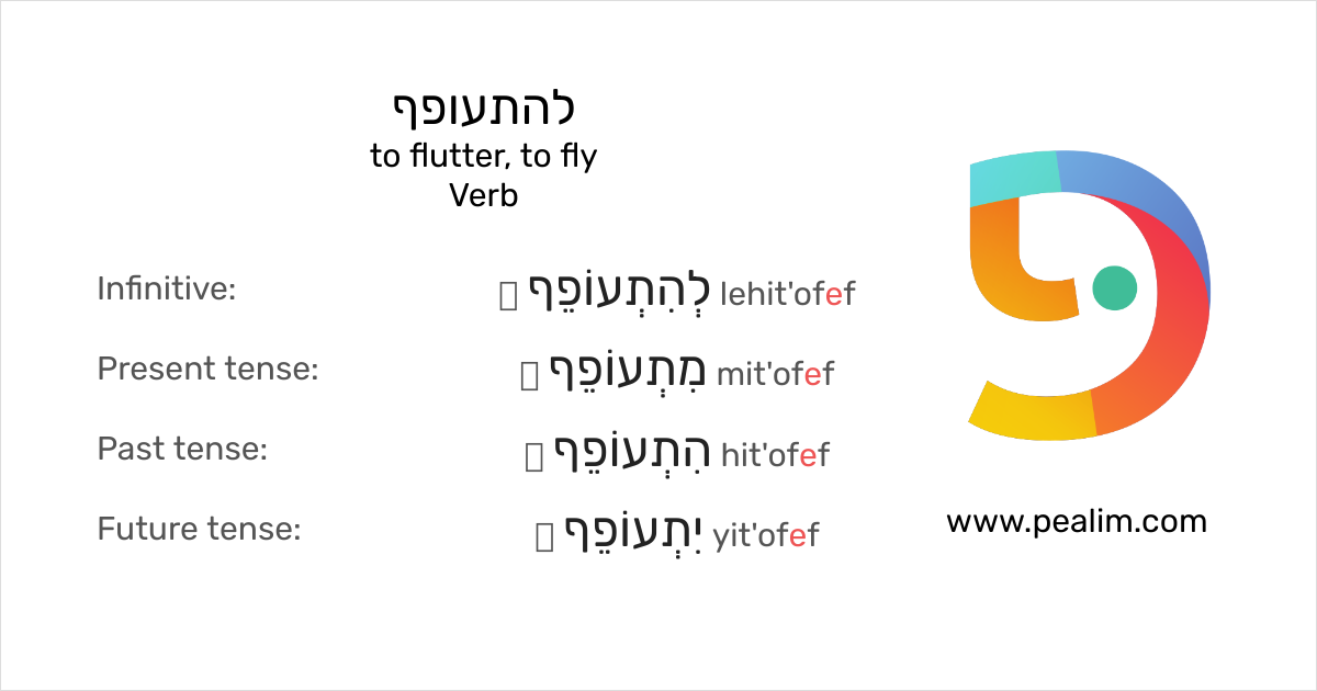 להתעופף – to flutter, to fly – Hebrew conjugation tables
