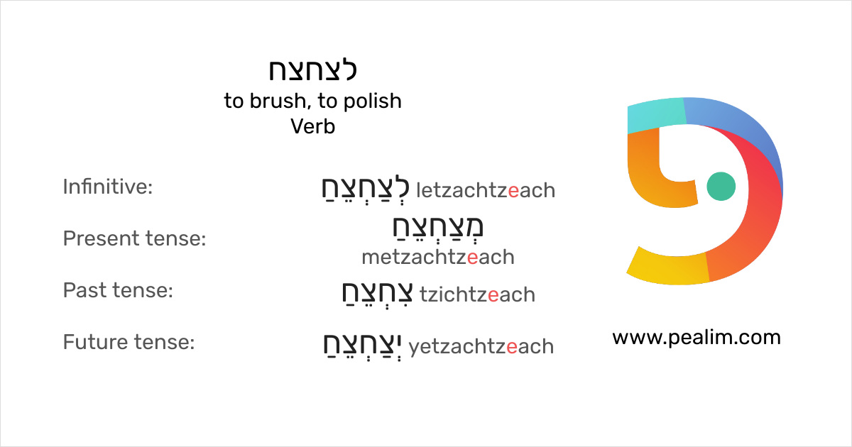 לצחצח – to brush, to polish – Hebrew conjugation tables