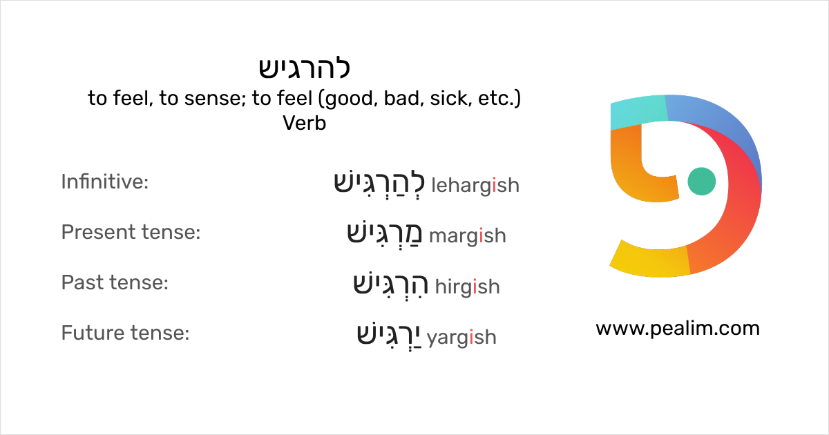 להרגיש – to feel, to sense; to feel (good, bad, sick, etc.) – Hebrew ...