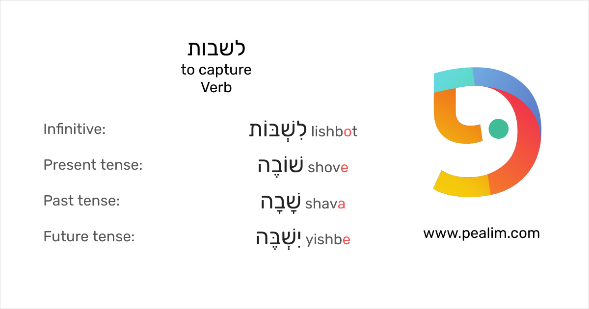 לשבות – to capture – Hebrew conjugation tables
