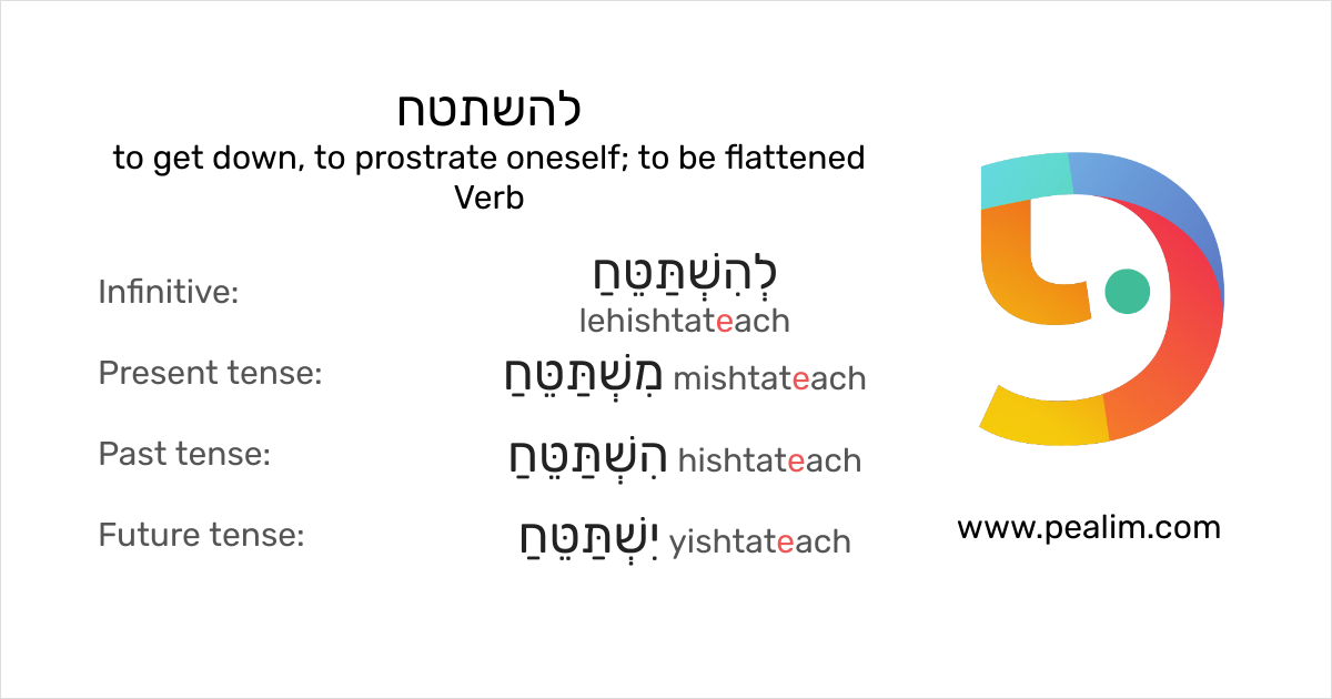 להשתטח – to get down, to prostrate oneself; to be flattened – Hebrew ...