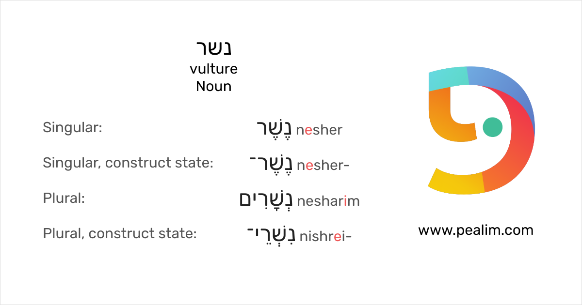 נשר – vulture – Hebrew conjugation tables