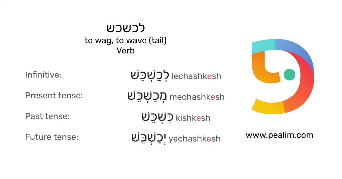 לכשכש – to wag, to wave (tail) – Hebrew conjugation tables