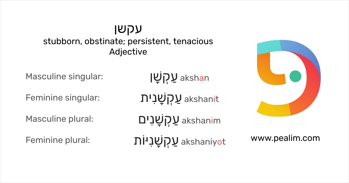 עקשן – stubborn, obstinate; persistent, tenacious – Hebrew conjugation ...
