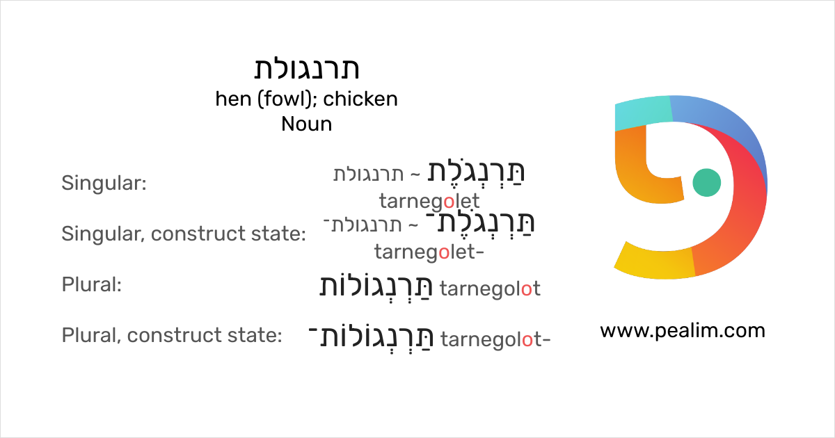 תרנגולת – 🐔 hen (fowl); chicken – Hebrew conjugation tables