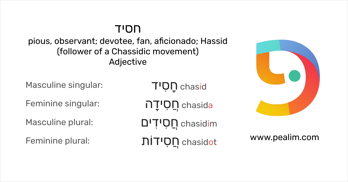 חסיד – pious, observant; devotee, fan, aficionado; Hassid (follower of ...