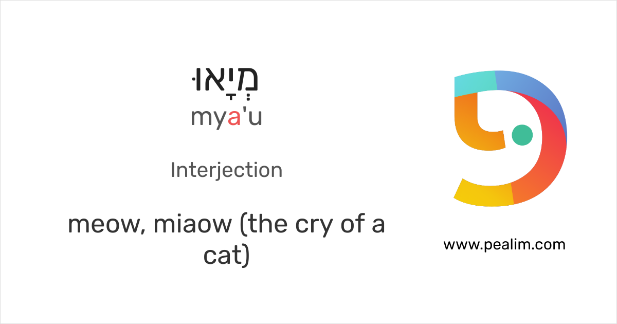 מיאו – meow, miaow (the cry of a cat) – Hebrew conjugation tables