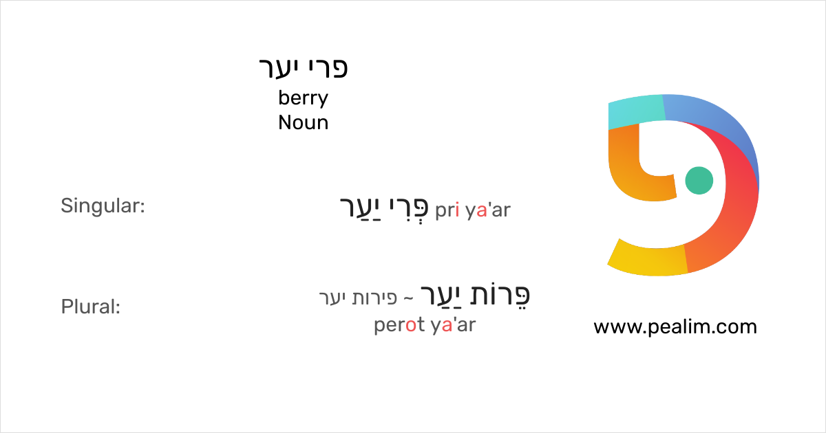 פרי יער – berry 🍓🫐🍒 – Hebrew conjugation tables