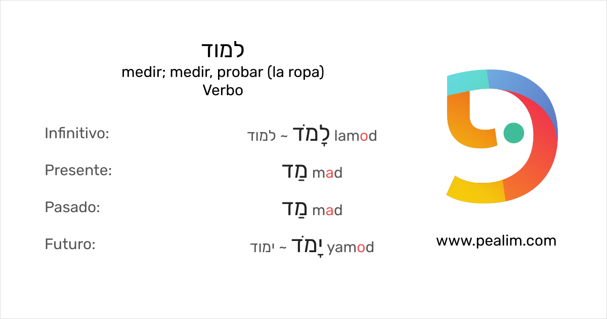 למוד – medir; medir, probar (la ropa) – Tablas de conjugación en hebreo
