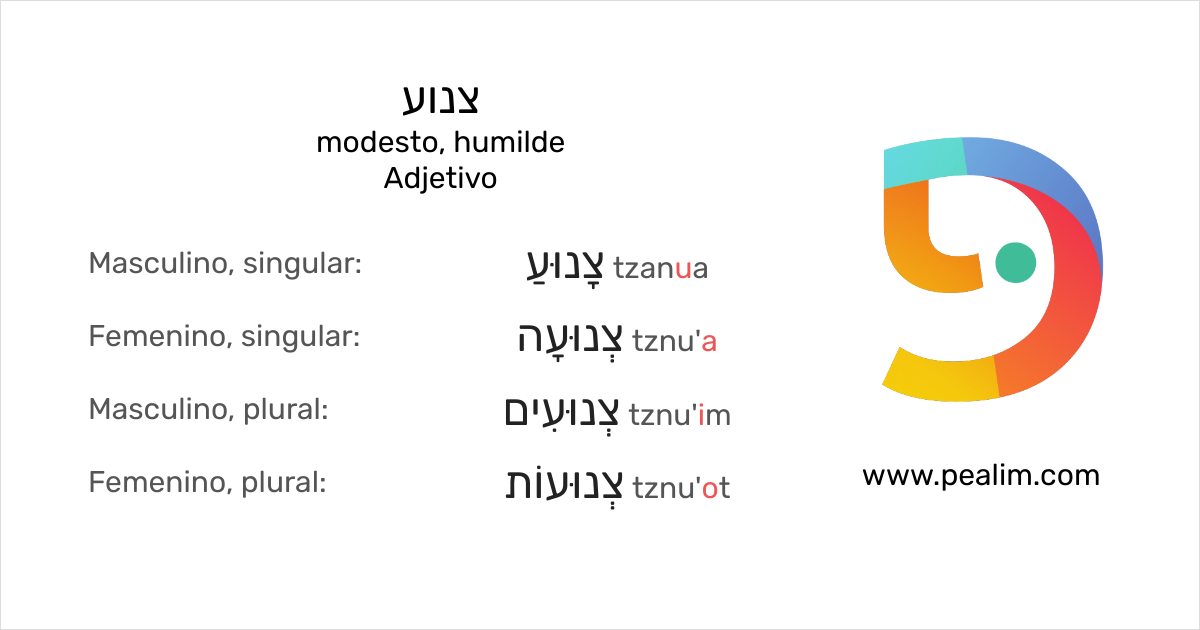 צנוע – modesto, humilde – Tablas de conjugación en hebreo